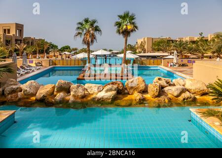 Sea view pool and palm trees Stock Photo - Alamy