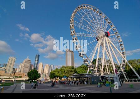 The Brisbane Eye Stock Photo - Alamy