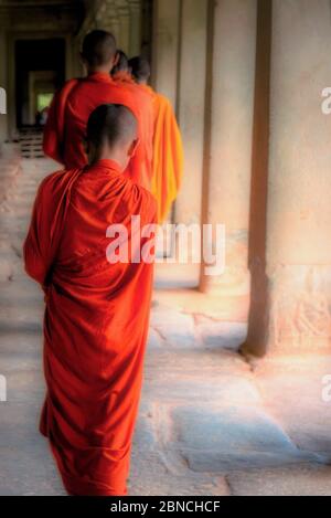 A vertical shot of the young Buddhist monks praying at Mahabodhi Temple ...