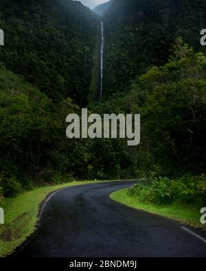 Waterfall in Reunion island Stock Photo - Alamy