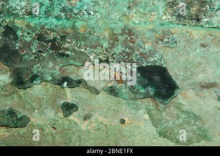Copper stained rock caused by mineralisation which forms malachite ...