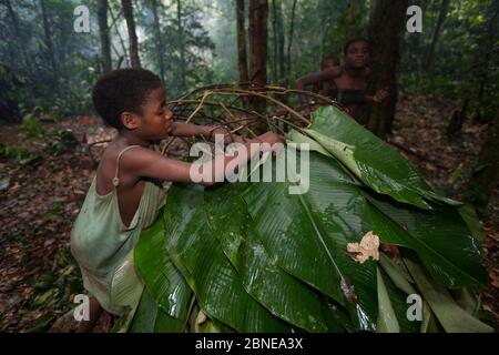 Baka people making Mongolus, a hut made from sticks and leaves ...