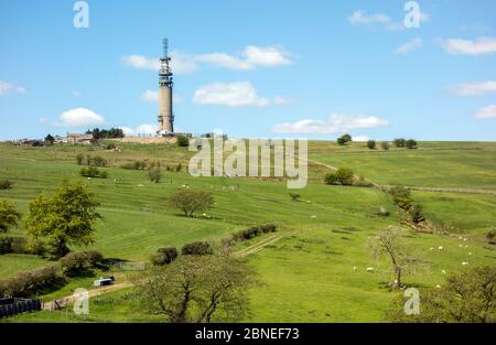 The BT telecommunications tower radio mast on Croker Hill Sutton Common ...