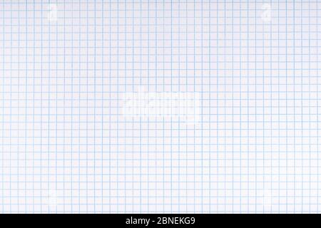 Exercise book paper page with squares, one page. Blank lined worksheet ...