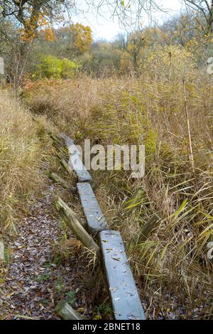 Replica of The Sweet Track - ancient trackway constructed in Neolithic ...
