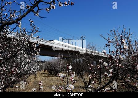 A view of a train of Fuxing Hao, also known as the CR series EMU ...