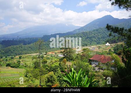 Puncak, Bogor, West Java, Indonesia Stock Photo - Alamy