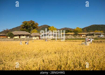 Korean traditional scarecrow. Korean Folk Village, Yongin. Korea Stock ...