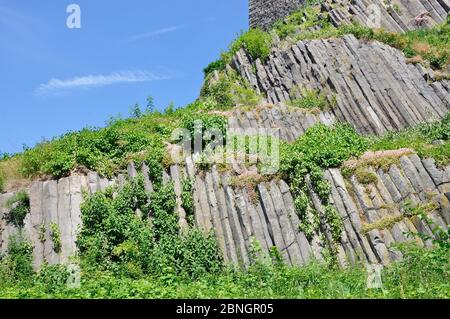 Bewachsenens Basaltmassiv an der Burg Stolpen Stock Photo - Alamy