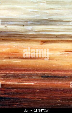 brown wood board horizontal lines high angle v iew Stock Photo - Alamy