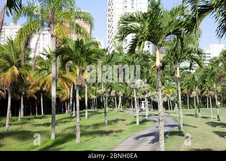 Gávea Golf and Country Club in Rio de Janeiro, Brazil Stock Photo - Alamy