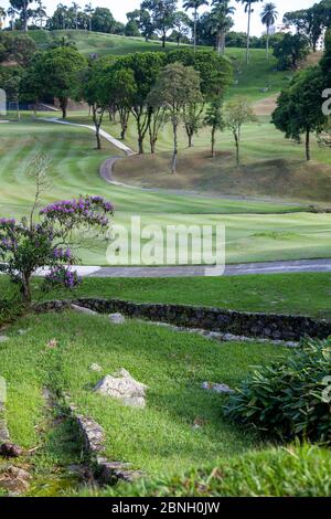 Gávea Golf and Country Club in Rio de Janeiro, Brazil Stock Photo - Alamy