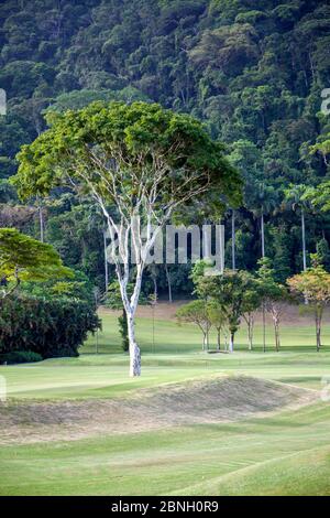 Gávea Golf and Country Club in Rio de Janeiro, Brazil Stock Photo - Alamy