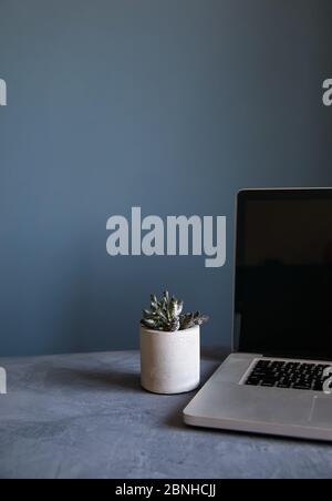 Workplace with computer and plant on wooden table. Blue background ...