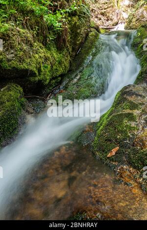 Waterfalls and Cascades in the Ysperklamm in Yspertal Lower Austria ...