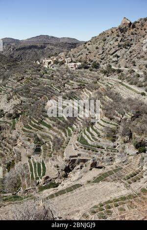 Terraced fields with rose gardens, a popular tourist site in the ...