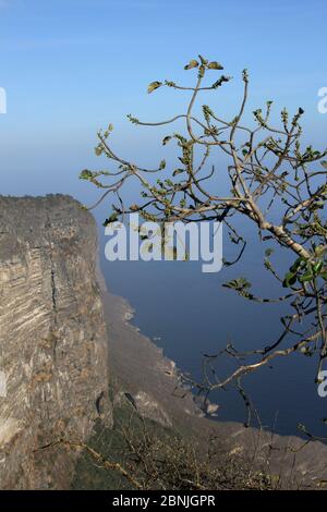 Coastal cliffs at Shaat in southern Oman, November 2012 Stock Photo - Alamy