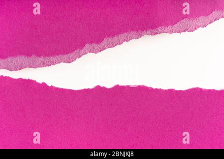 Ripped pieces of purple paper isolated on white background. Paper piece ...