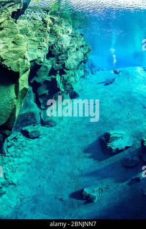 Diver explores the cathedral at Silfra Canyon deep fault filled fresh ...