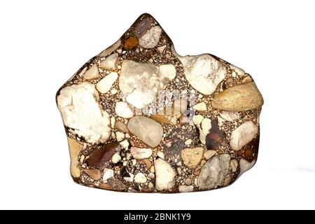 Sedimentary Conglomerate Rock Specimen Stock Photo - Alamy