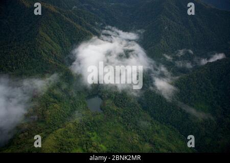 Rainforest and valley in the Sarawaget range, Huon Peninsula, Papua New ...