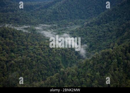 Rainforest and valley in the Sarawaget range, Huon Peninsula, Papua New ...