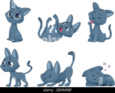 cute cats fluffy adorable cartoon animals domestic kitty home pets ...