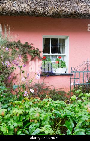 Golden Vale Farmhouse in Bunratty Castle and Folk Park, County Clare ...