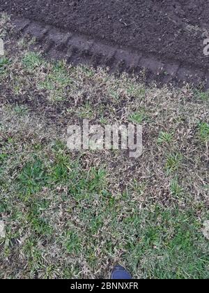 Destroyed lawn by a truck and very bad job of fixing its. Truck Tyre ...