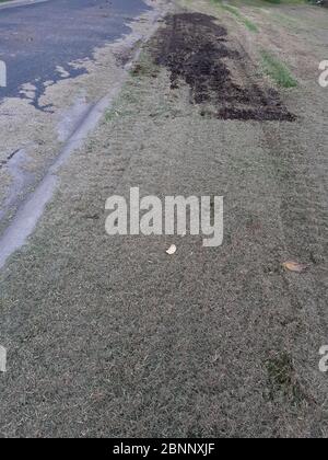 Destroyed lawn by a truck and very bad job of fixing its. Truck Tyre ...