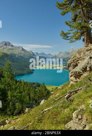 View of the Upper Engadine, Lake Silvaplana, Engadin, Graubünden ...