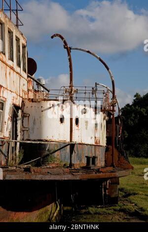 The sad remains of the paddlesteamer Ryde, resting in a mud berth at ...
