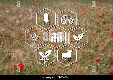 Icon of various symbols of agriculture Stock Photo - Alamy