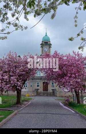 Perth Academy, Perth, Scotland Stock Photo - Alamy