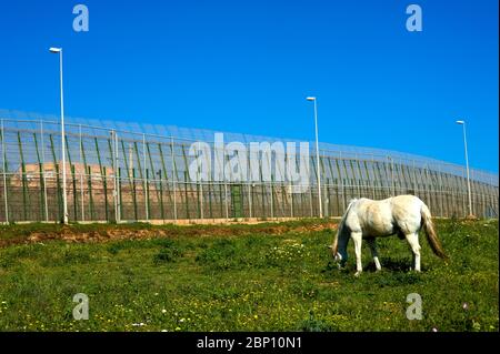 Fence that separates the city of Melilla from the Moroccan port of ...