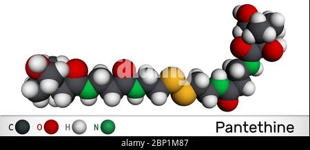 Pantethine (dimeric vitamin B5) molecule. Used in dietary supplements ...