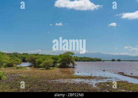 Lake Manyara National Park Landscape Tanzania // LAKE MANYARA NATIONAL ...