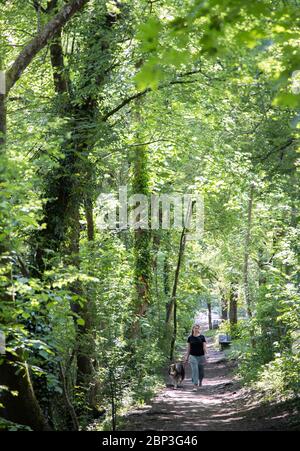Germany, Bavaria, Munich, Woman relaxing in hammock and watching ...