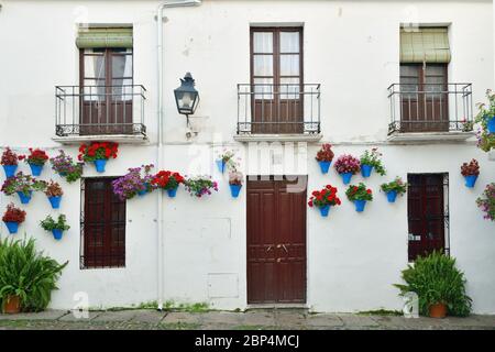 Beautiful flower decoration of the resident house in Cordoba, Spain ...