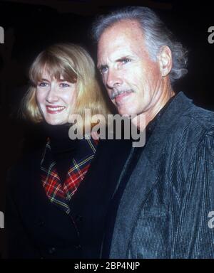 Laura Dern, 1990s, Photo By Michael Ferguson/PHOTOlink Stock Photo - Alamy