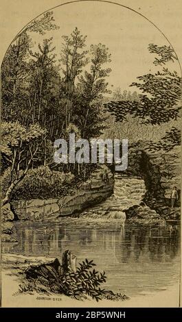 *Camp Life in the Wilderness* (1879) describes the daily routines and ...