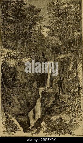 *Camp Life in the Wilderness* (1879) describes the daily routines and ...