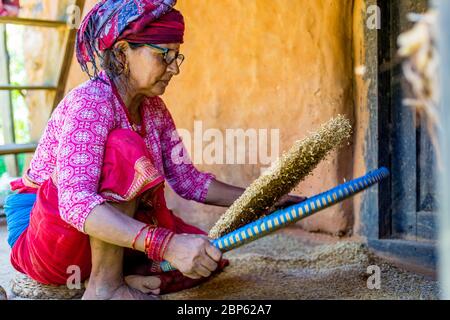Rural Indian village woman sifting Finger Millet flour / Ragi flour ...