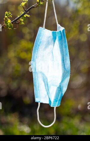A face mask hanging in a twig - covid pandemic, new normal Stock Photo ...