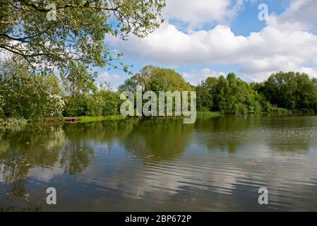 Eastrington Ponds in spring, East Yorkshire, England UK Stock Photo - Alamy