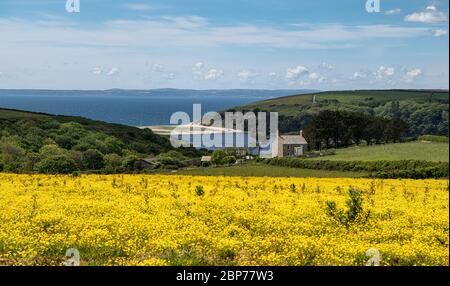 Loe Bar and Loe Pool the largest natural body of fresh water in ...