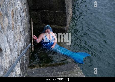 Fish swimming in a pond in a rainy day. Raindrops falling on the pond ...