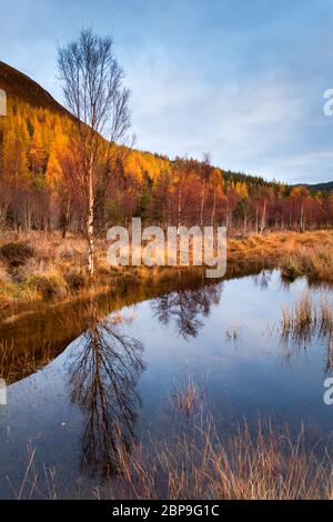 Sunrise, Loch Morie, Kildermorie Estate, Highlands, Scotland Stock ...