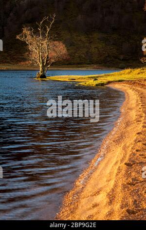 Sunrise, Loch Morie, Kildermorie Estate, Highlands, Scotland Stock ...