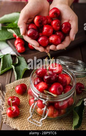 Freshly picked cherries, natural cultivation, bio quality Stock Photo ...